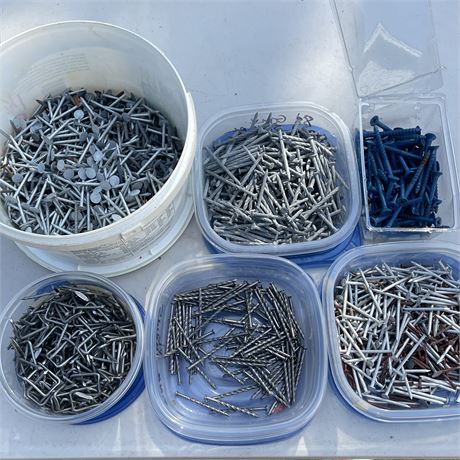 Blazing Auctions - Assorted "sorted" Screws and Nails