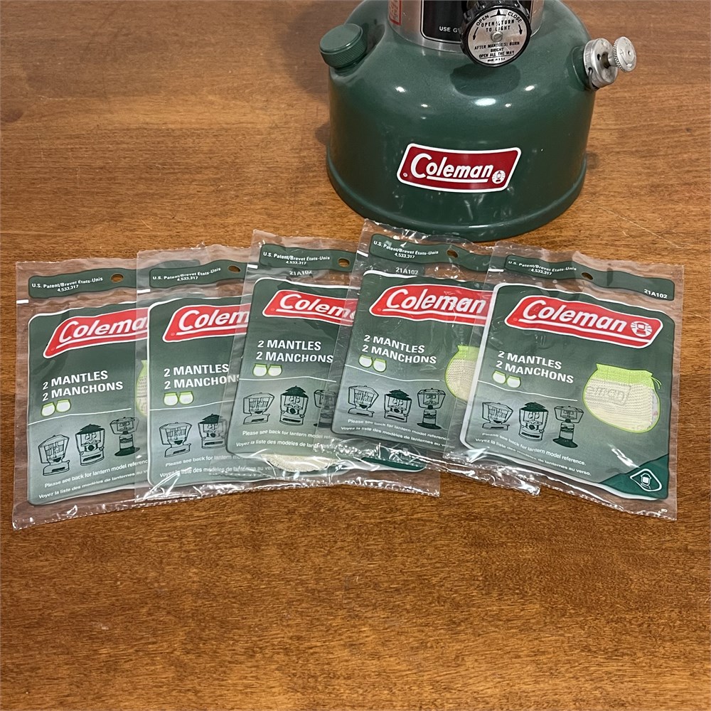 Blazing Auctions - Coleman Vtg. Propane Double Mantle Lantern w ...