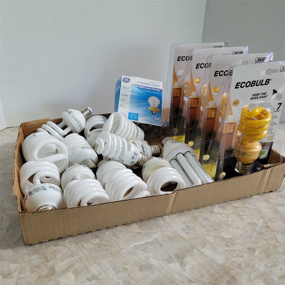 Blazing Auctions - Light Bulb Assortment